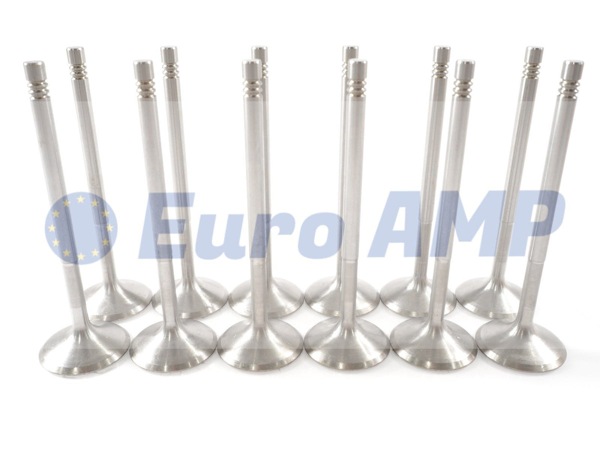 Audi S6 S7 RS5 Engine Intake Valves (12) 2.9 V6 TFSI EA839 06M-109-601 ...